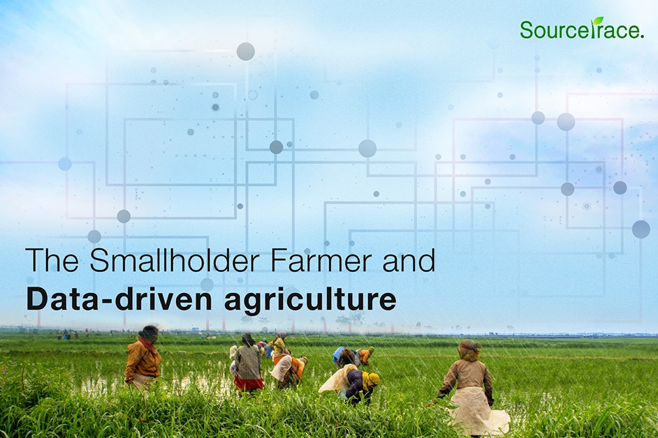 The Smallholder Farmer and Data-Driven agriculture