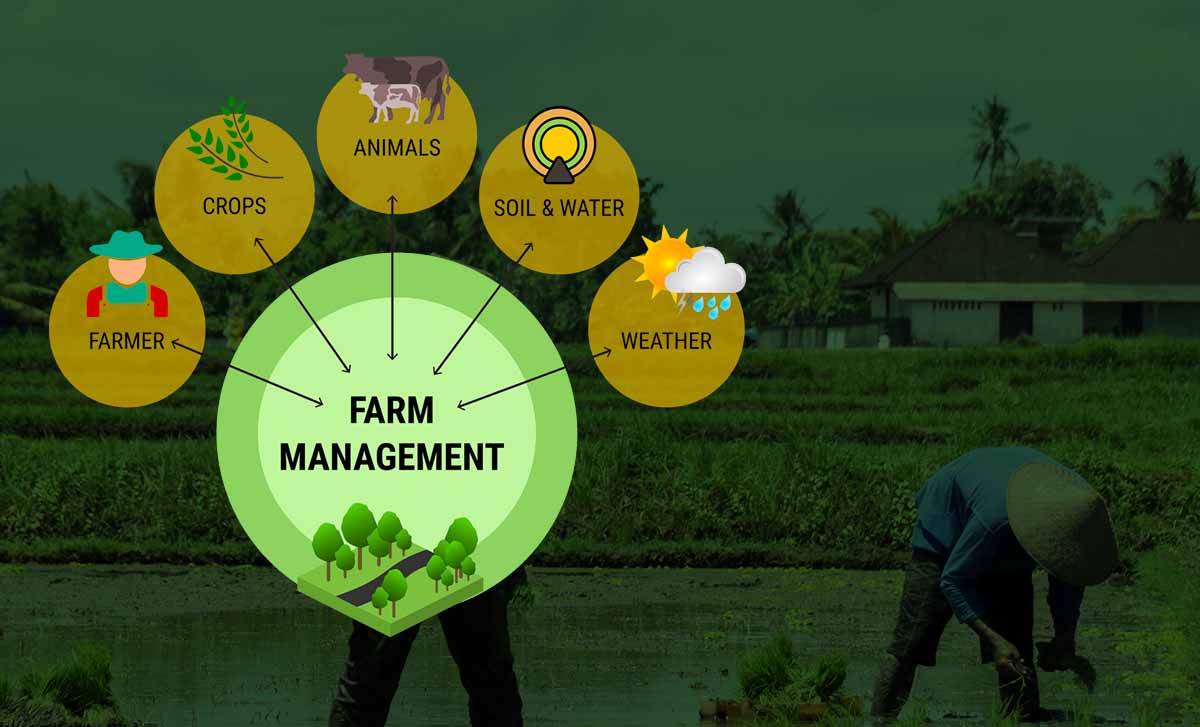 Farm Management Services | Farm Record Keeping & Accounting Software