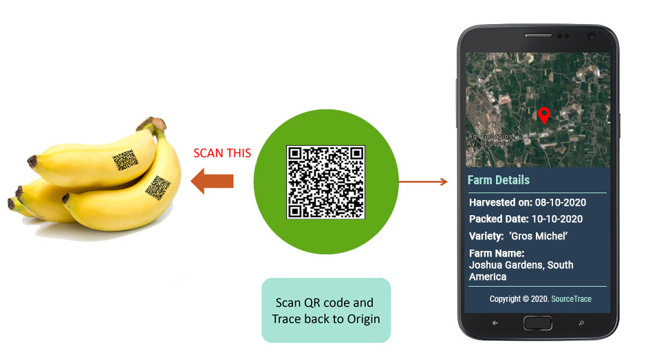 Digital Supply Chain: Fresh Fruits & Vegetables - SourceTrace Systems